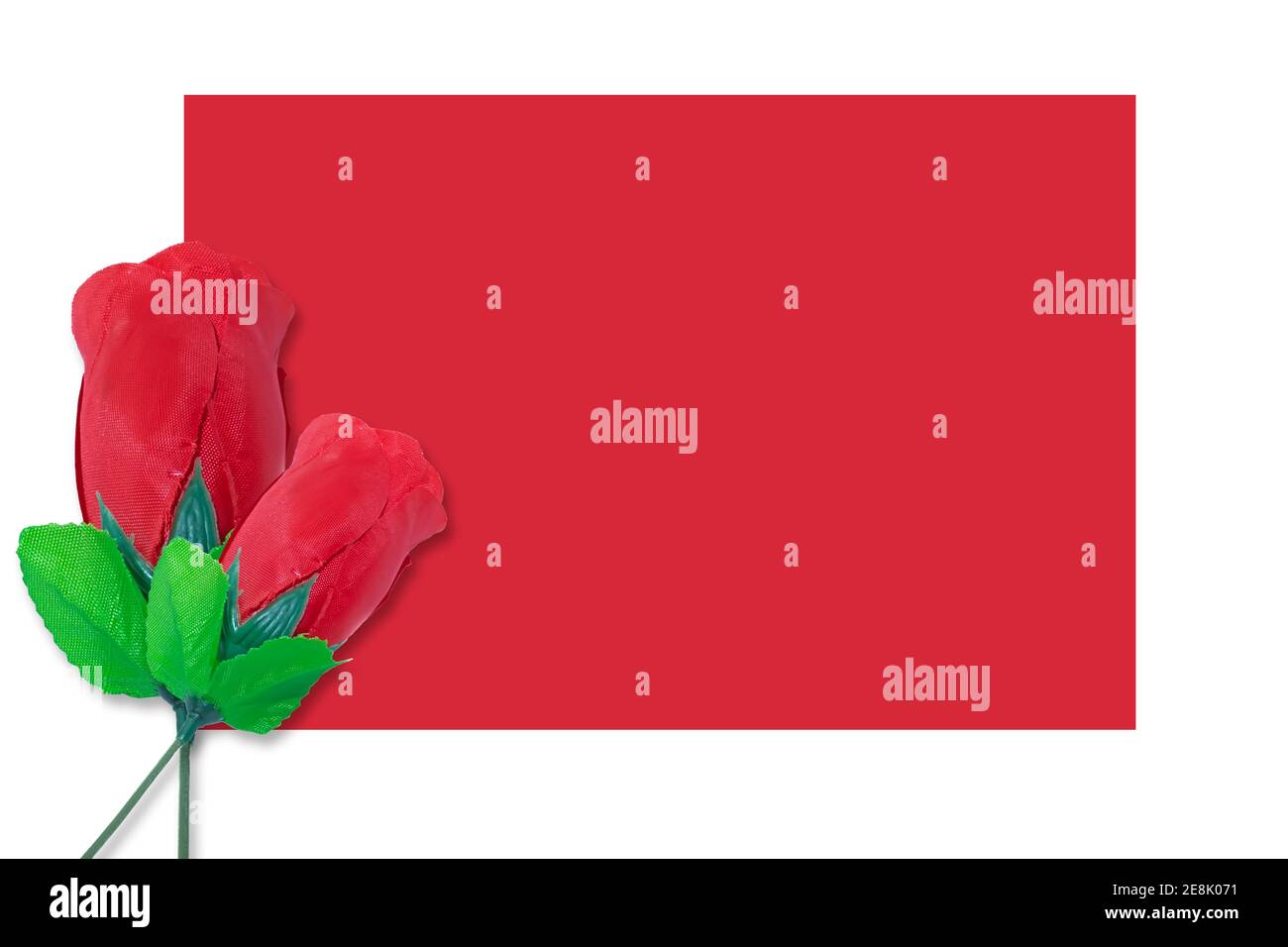 Square frame flower bud Cut Out Stock Images & Pictures - Alamy