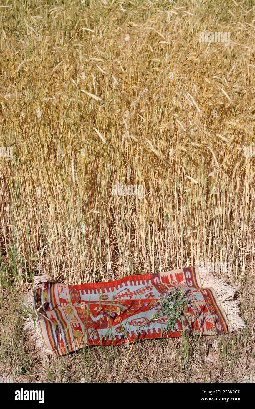 Antique yellow rug hi-res stock photography and images - Alamy