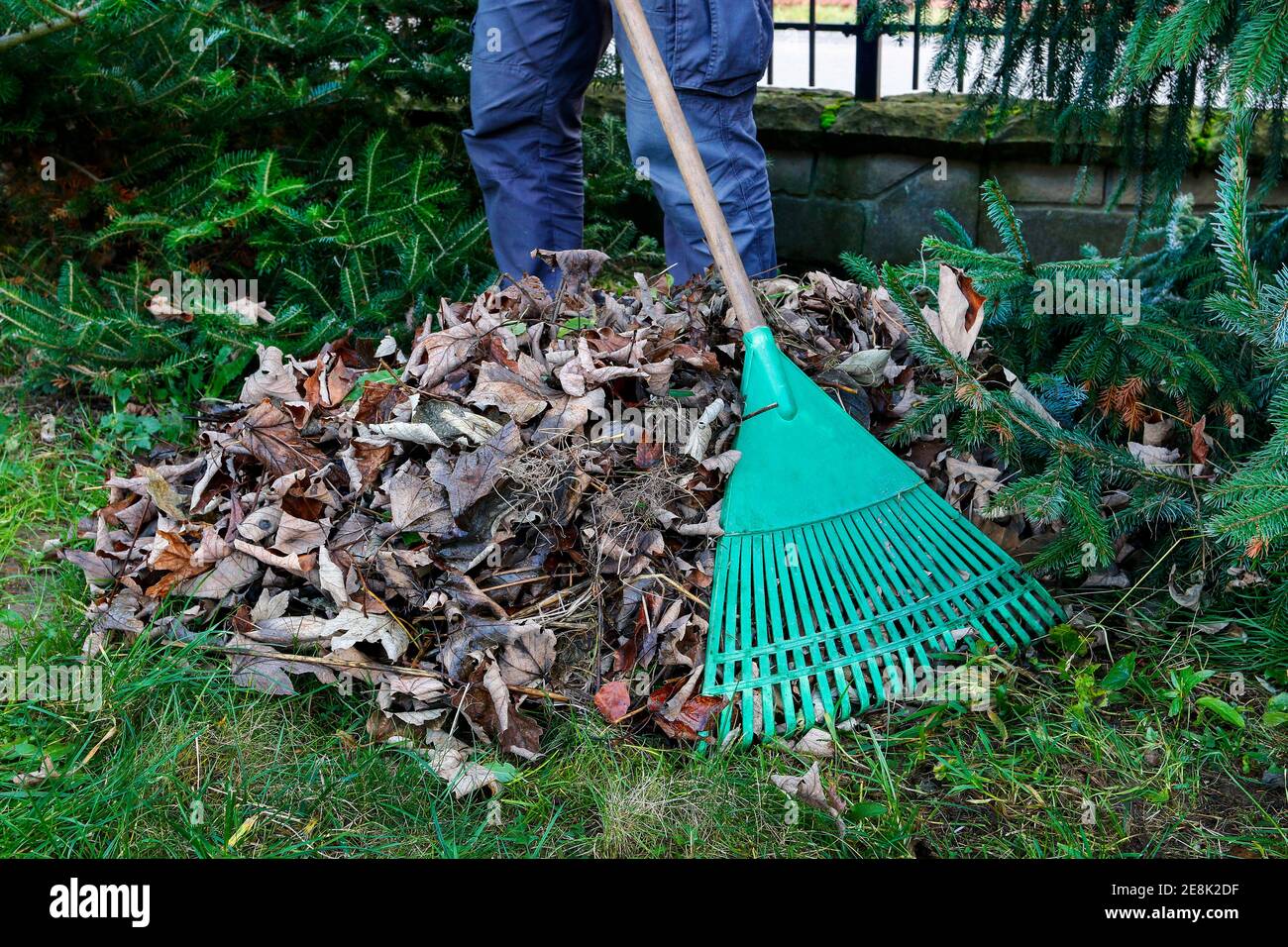 Man rake leaves outdoor at spring hi-res stock photography and images ...