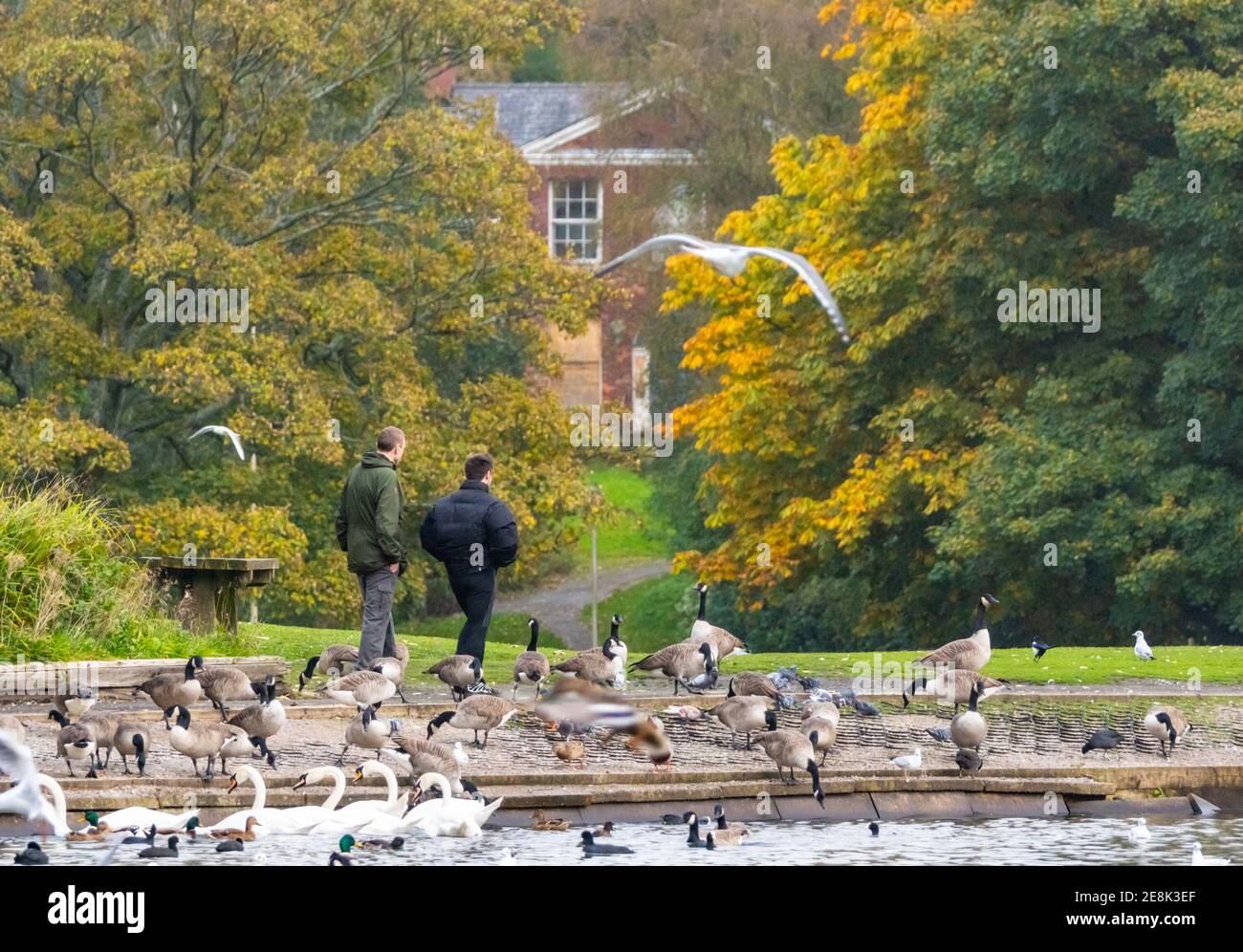 Crompton lodges hi-res stock photography and images - Alamy
