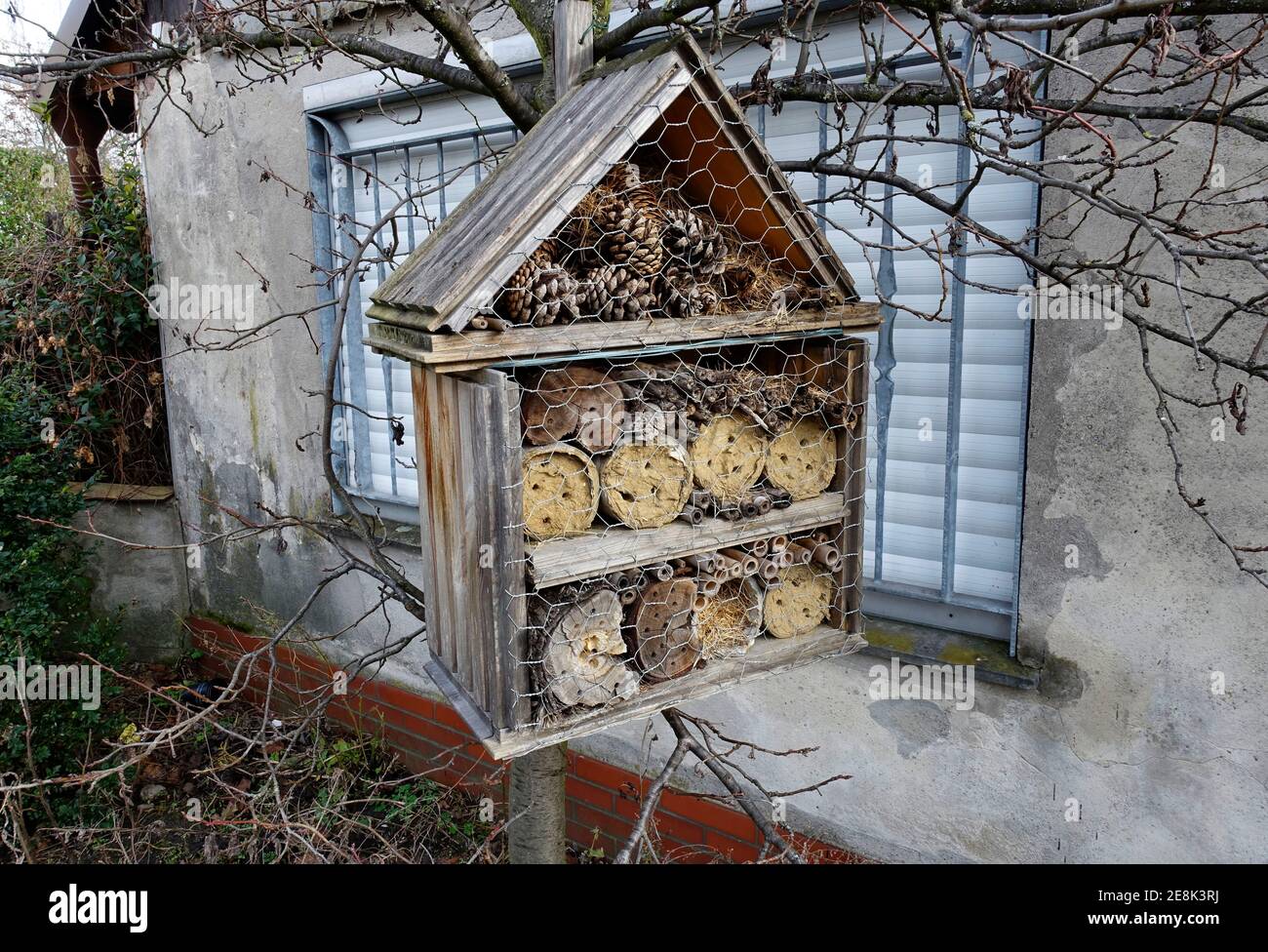 Insect hotel, also known as a bug hotel or insect house, is a manmade ...