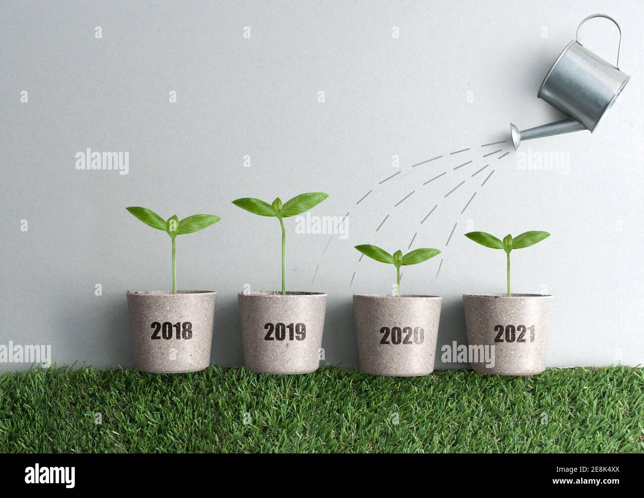 Plant growth comparison hi-res stock photography and images - Alamy