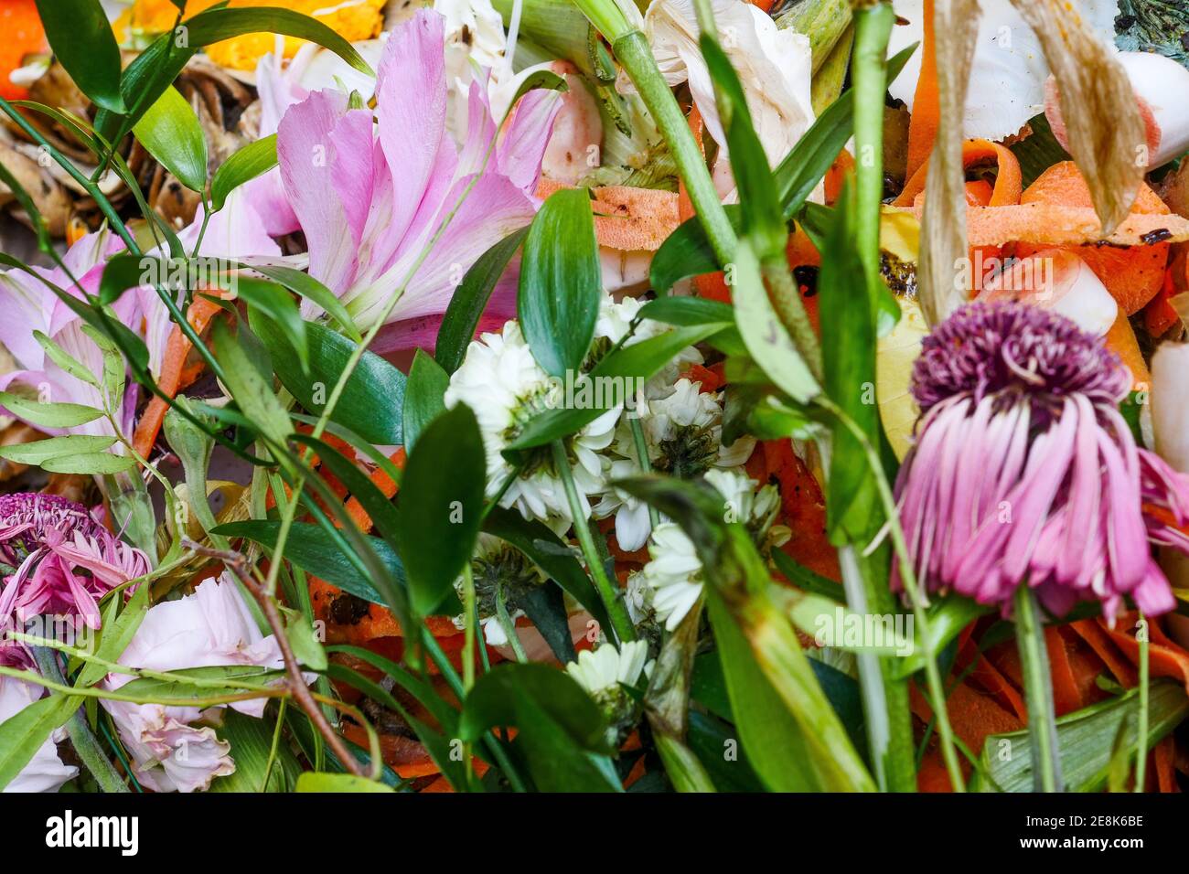 Compost container dry hi-res stock photography and images - Alamy