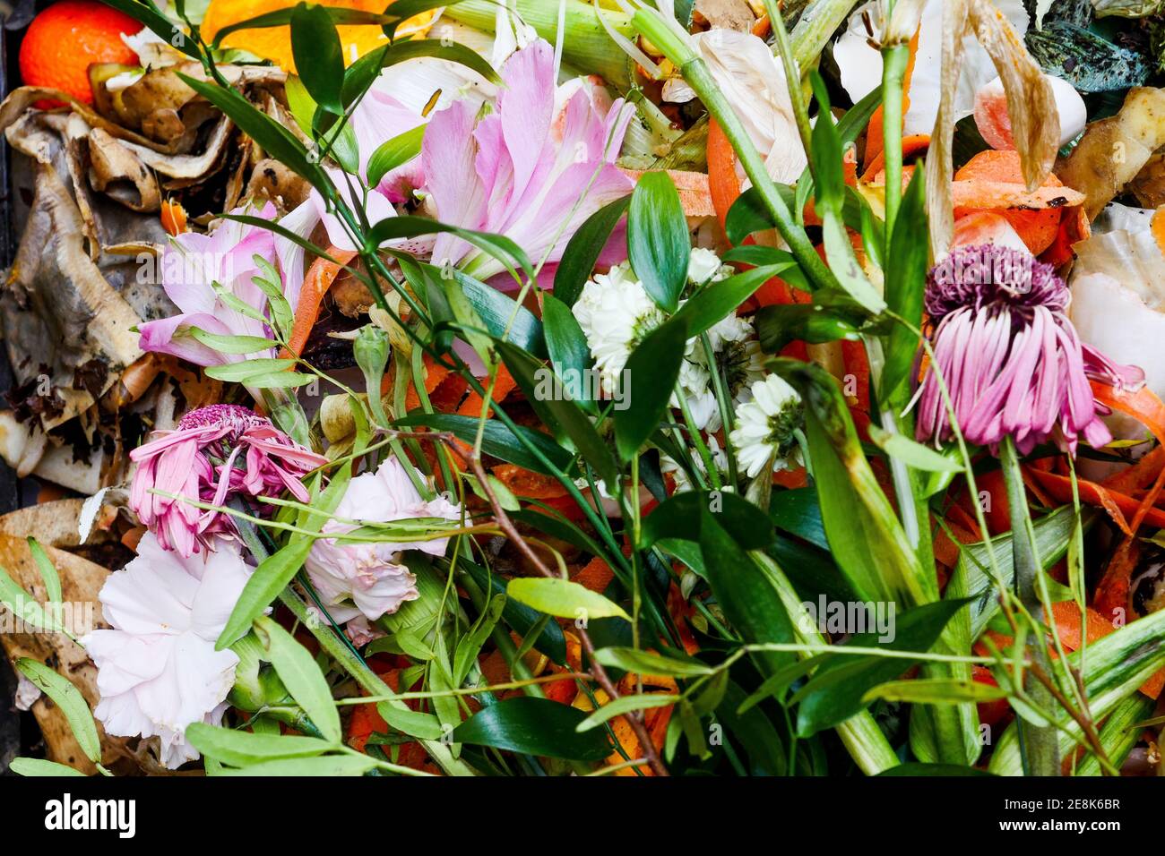 Dry flowers piled in a compost container, Bron, France Stock Photo - Alamy
