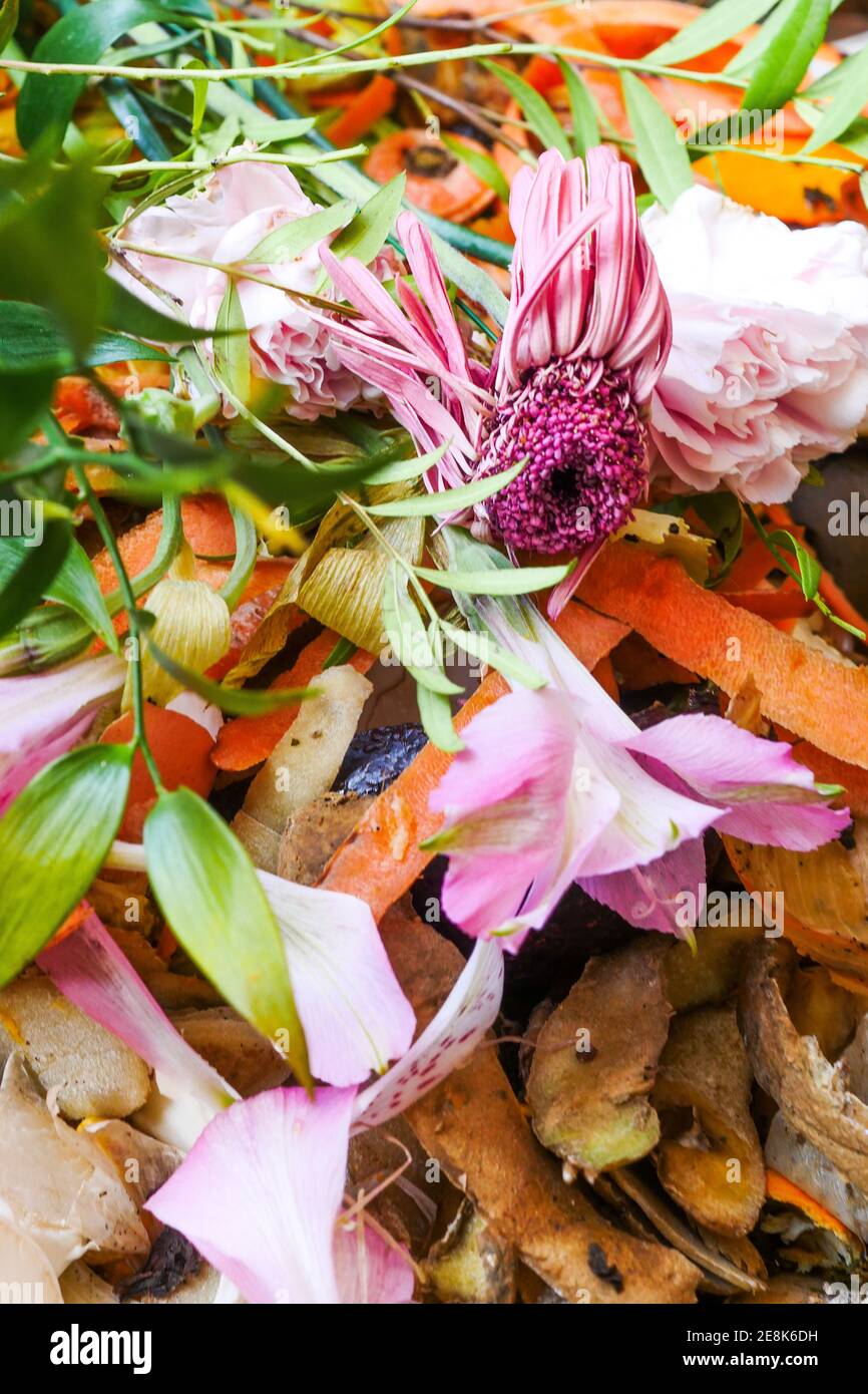 Composter flowers hi-res stock photography and images - Alamy