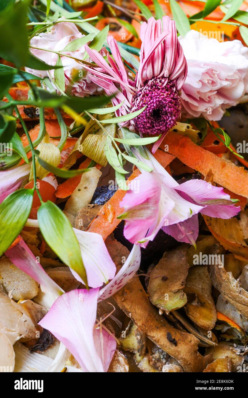 Composter flowers hi-res stock photography and images - Alamy
