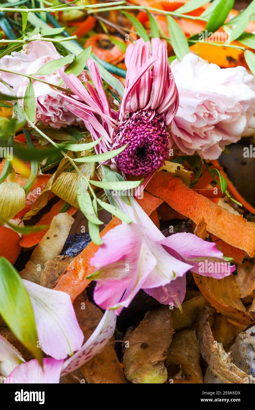 Composter flowers hi-res stock photography and images - Alamy