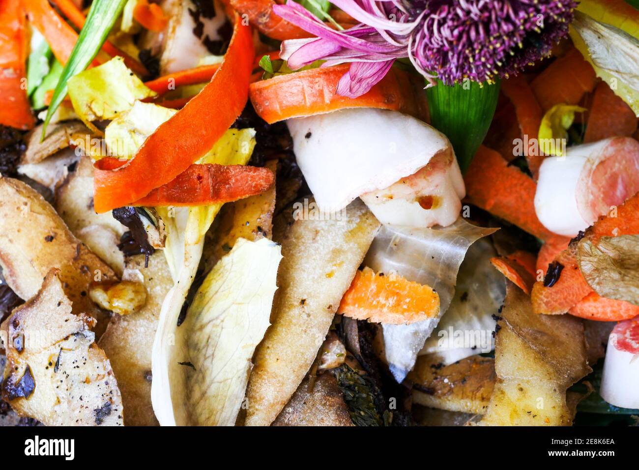 Fruits and vegetables peels piled in a compost container, Bron, France ...