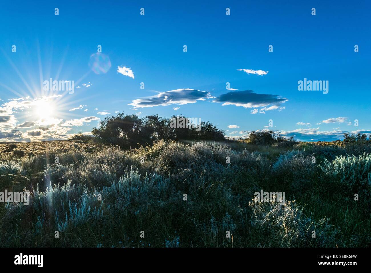 Rural landscape. Bright sun over the green field at summer Stock Photo ...