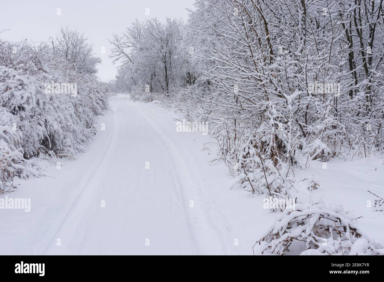 Pure winter landscape with snowy earth road to of small Ukrainian ...