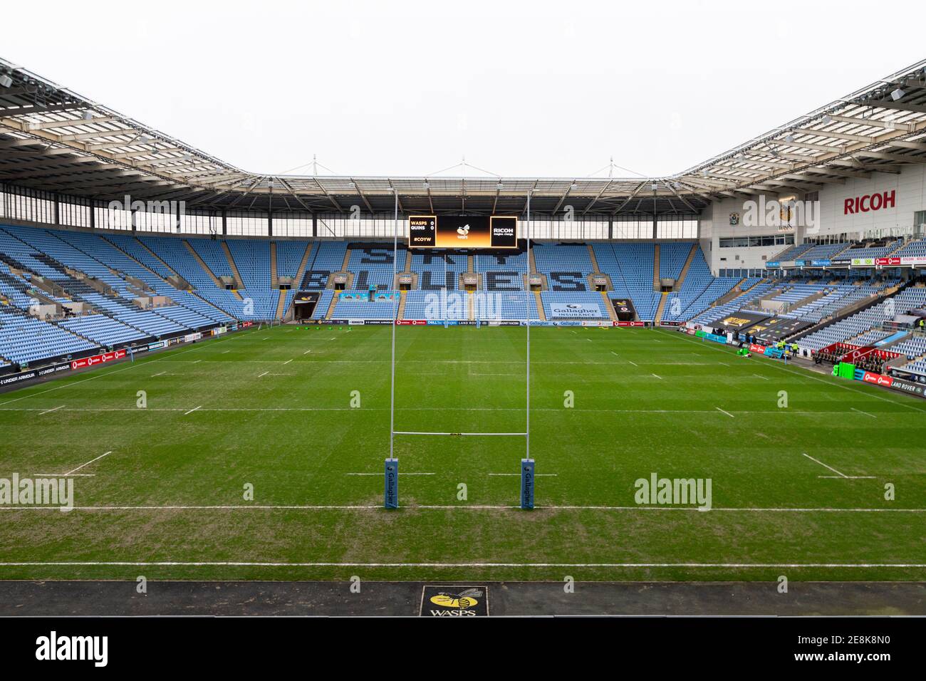 Premiership rugby wasps hi-res stock photography and images - Alamy