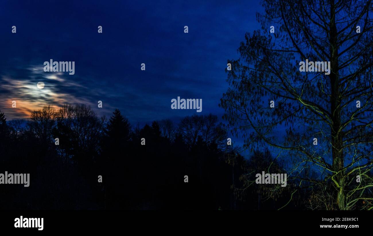 Cloudy Dark Night with Full Moon behind Trees Stock Photo - Alamy