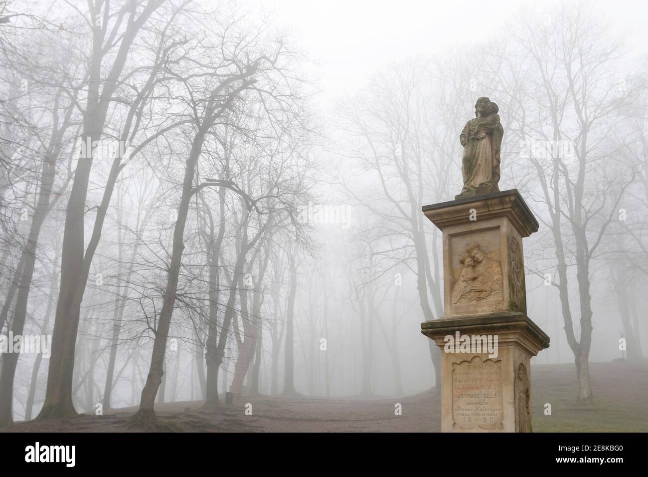 Mystic tree by the roadside hi-res stock photography and images - Alamy