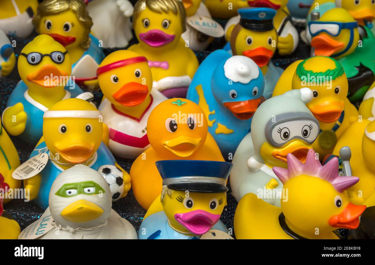 Collection of various rubber ducks in a shop window of a souvenir store ...