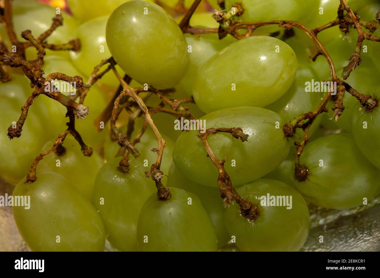 A closeup picture of green grapes Stock Photo - Alamy