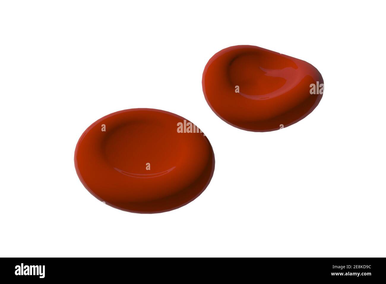 3D Illustration Red blood cells isolated on white background with ...