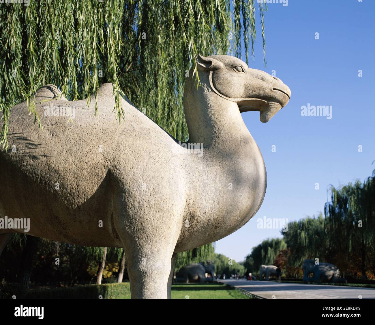 Asia, China, Beijing, Ming Tombs, Sacred Way, Stone Camel Statue Stock ...