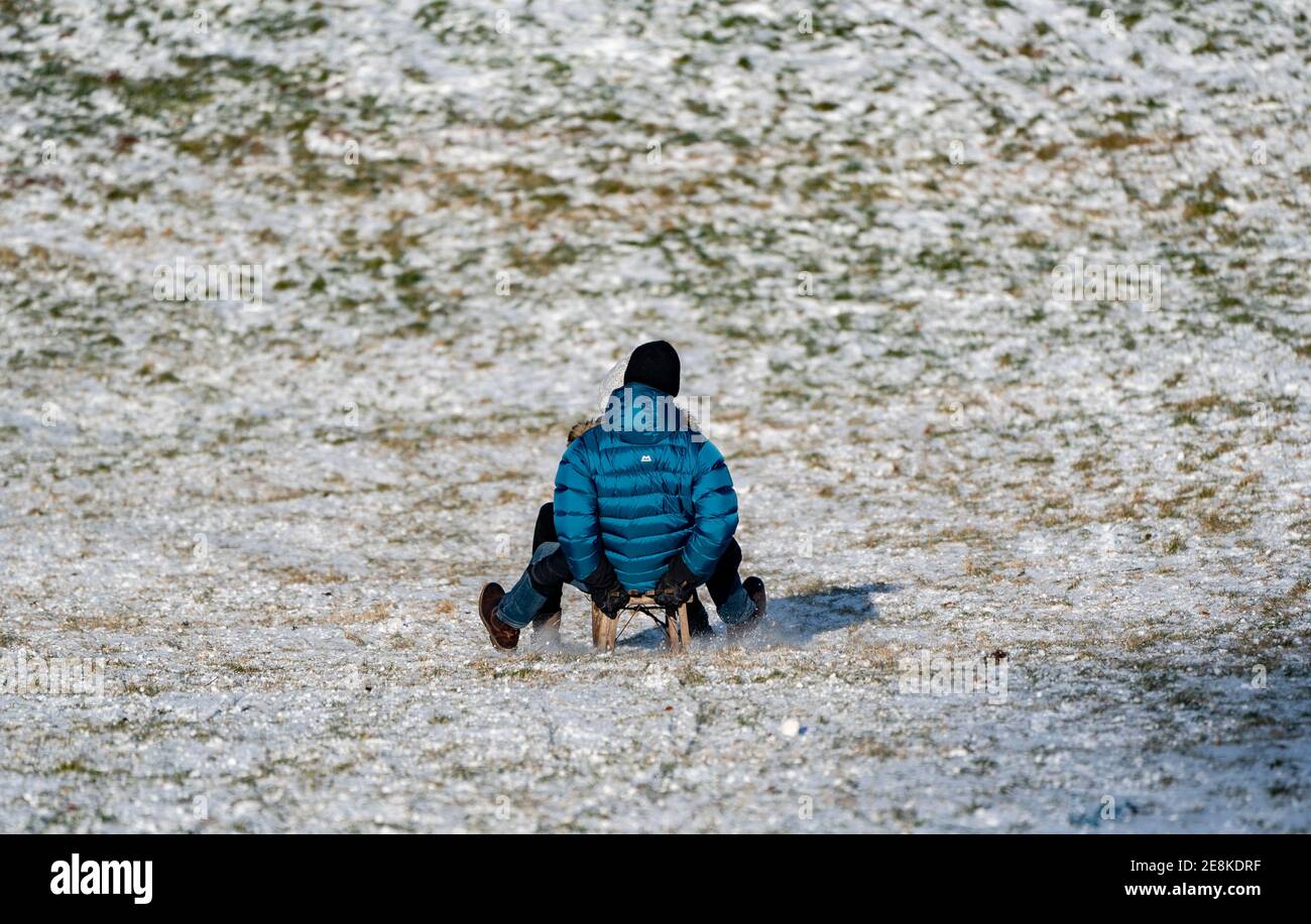 Bungsberg, Germany. 31st Jan, 2021. A tobogganist descends the ...