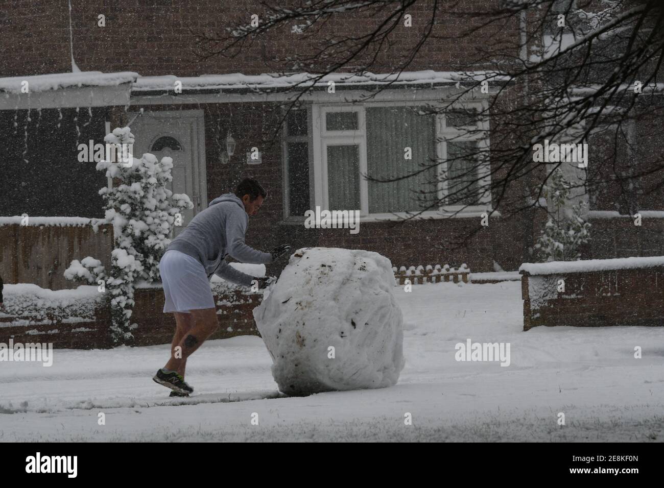 man rolling a big ball of snow Stock Photo - Alamy
