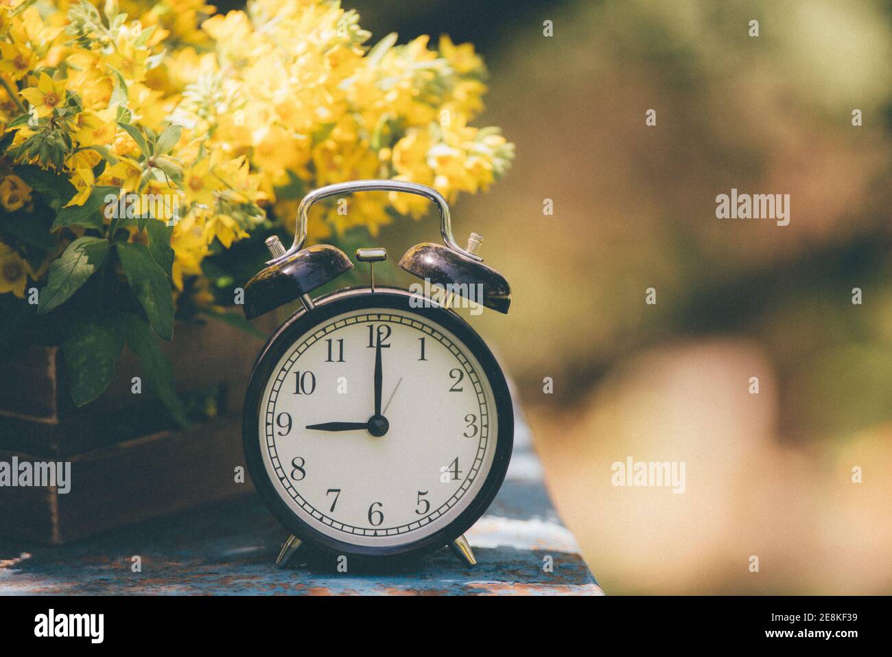 Retro 9 o'clock. Flowers in old wooden box. Day Light Garden Background ...