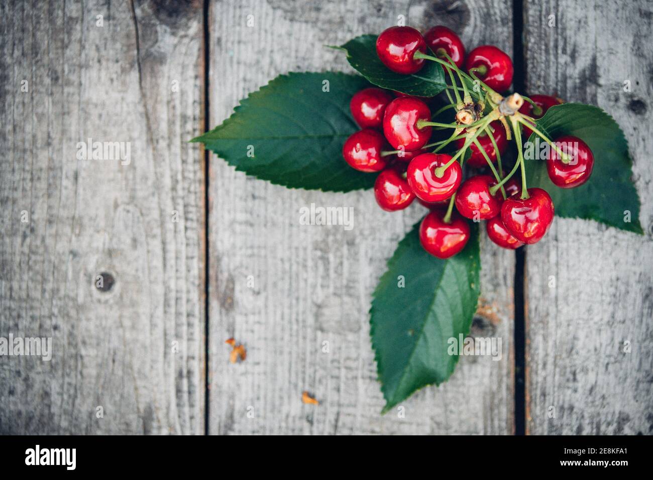 fresh red cherries on an old wooden table with green leaves, rustic ...