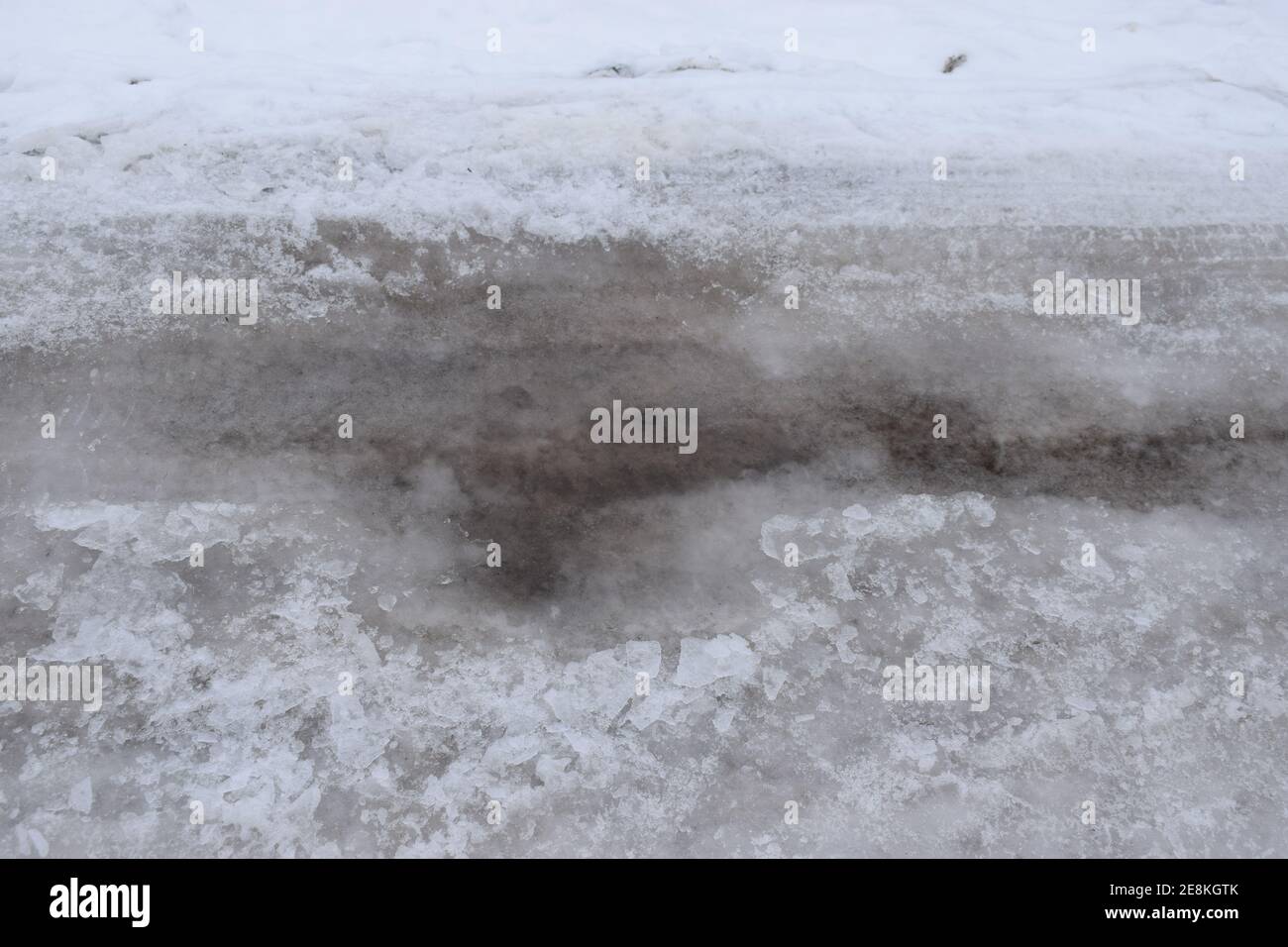 Wachholder hi-res stock photography and images - Alamy
