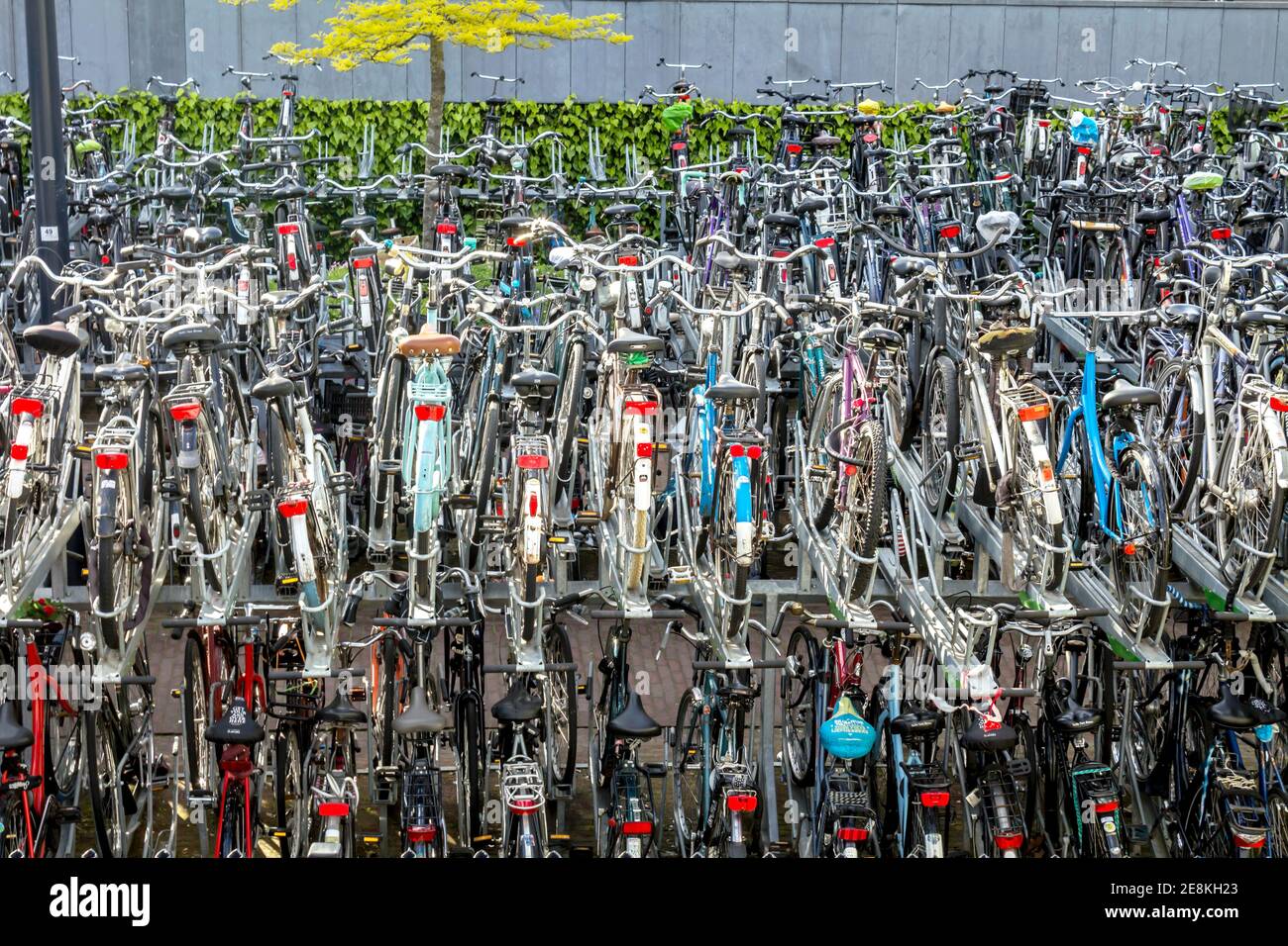 ROTTERDAM, NETHERLANDS: bicycle storage, park, at Blaak railway station ...