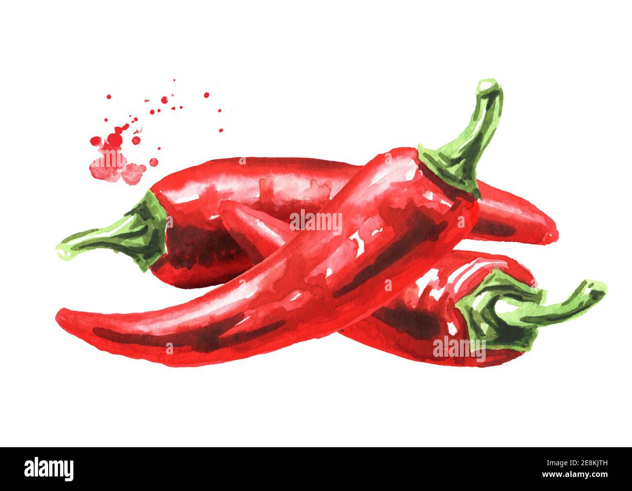 Red hot chili pepper, Hand drawn watercolor illustration isolated on ...