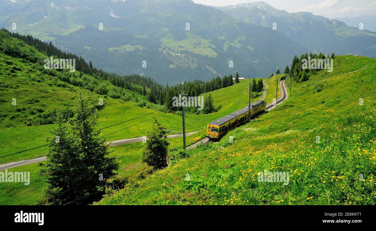 A Wengernalpbahn train on the narrow gauge rack railway in the Bernese ...