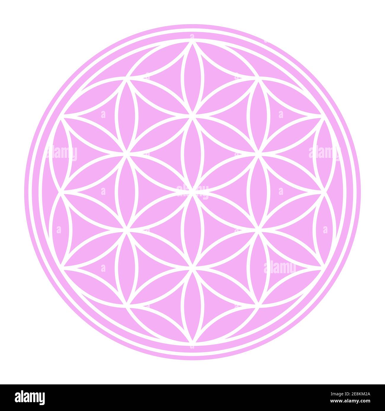 Flower of life sacred geometry Cut Out Stock Images & Pictures - Alamy