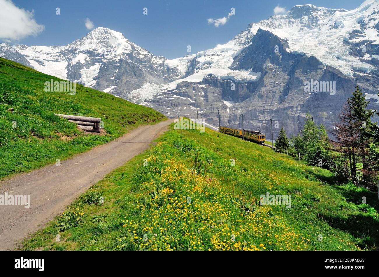 A Wengernalpbahn train on the narrow gauge rack railway in the Bernese ...