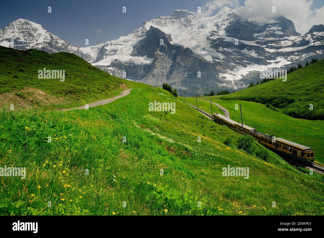 A Wengernalpbahn train on the narrow gauge rack railway in the Bernese ...