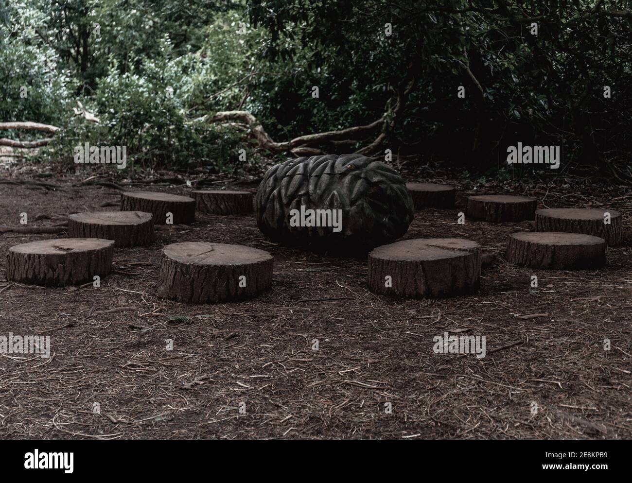 Natural seats hi-res stock photography and images - Alamy