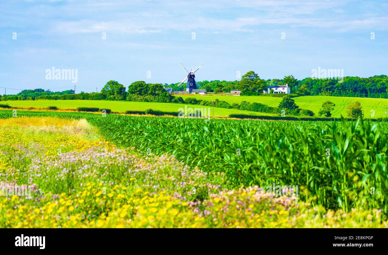Windmill in a farmland near Ripple village in the Dover District of ...