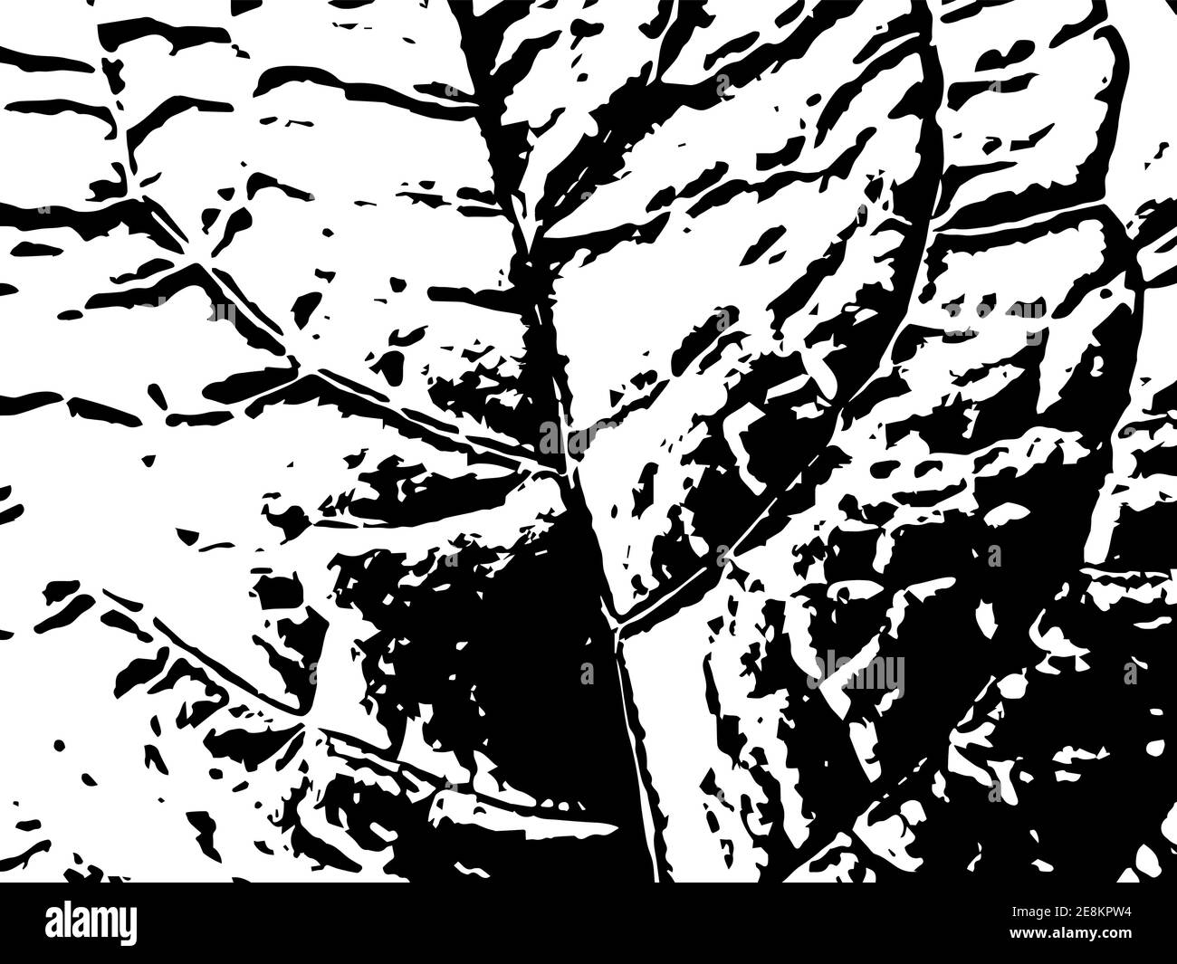 Black and white leaf vein vector texture. Black splatter on white ...