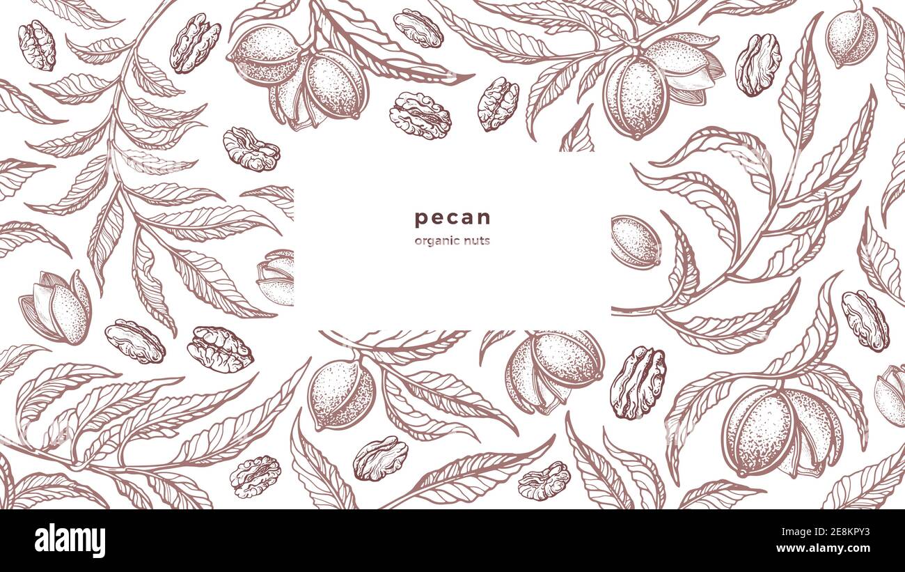 Pecan plantation Stock Vector Images - Alamy