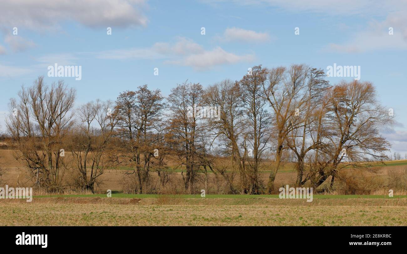 Stream lower austria hi-res stock photography and images - Alamy