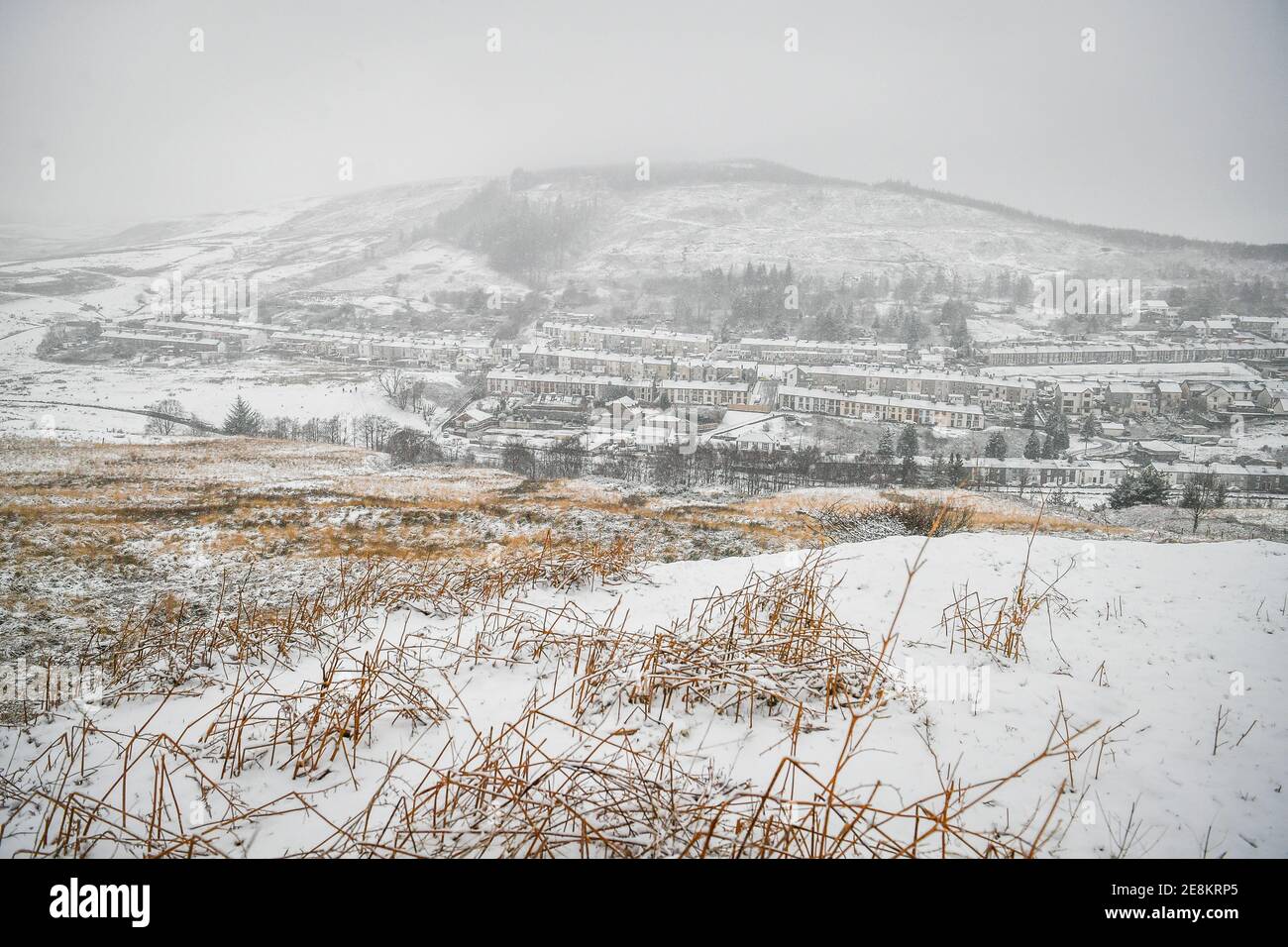 Cwm parc hi-res stock photography and images - Alamy