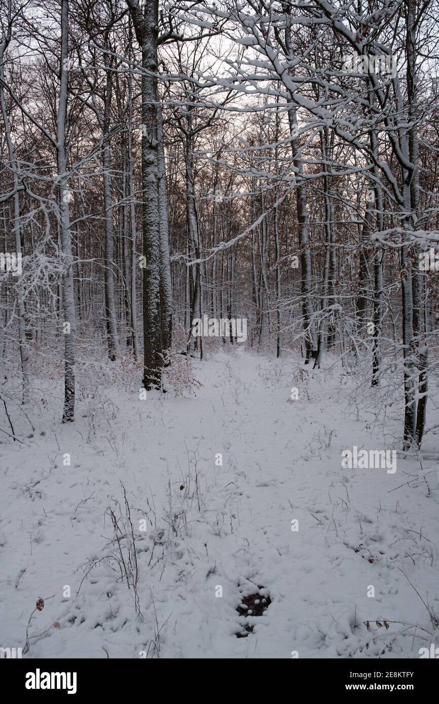 German landscape path hi-res stock photography and images - Alamy