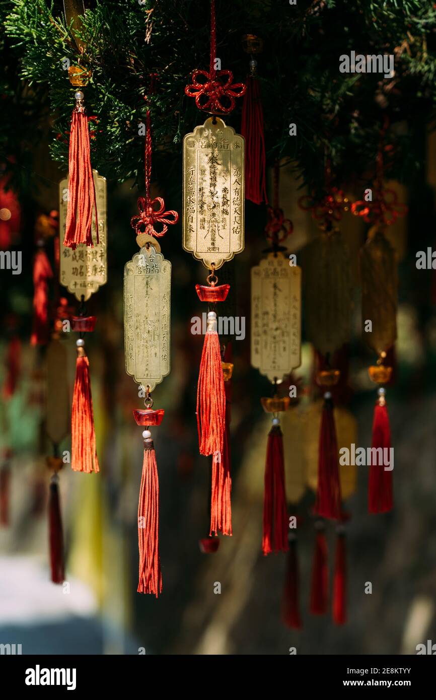 Buddhist wish ribbons and golden plates hanging from pine tree in ...