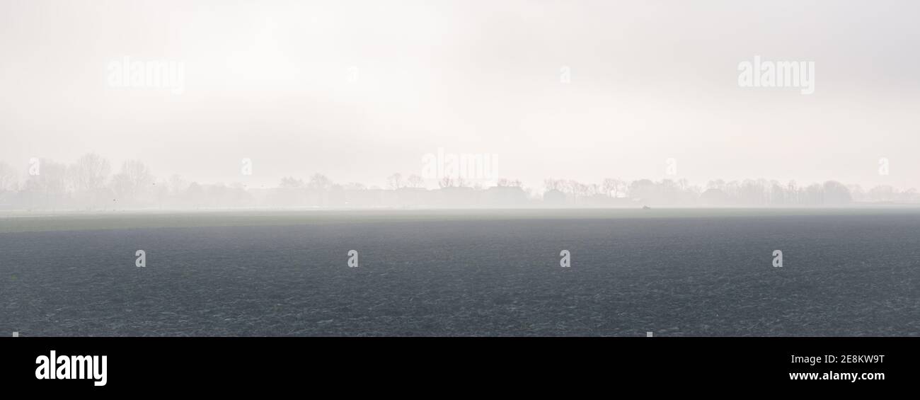 Panorama of a distant row of trees in the Dutch countryside, which is ...