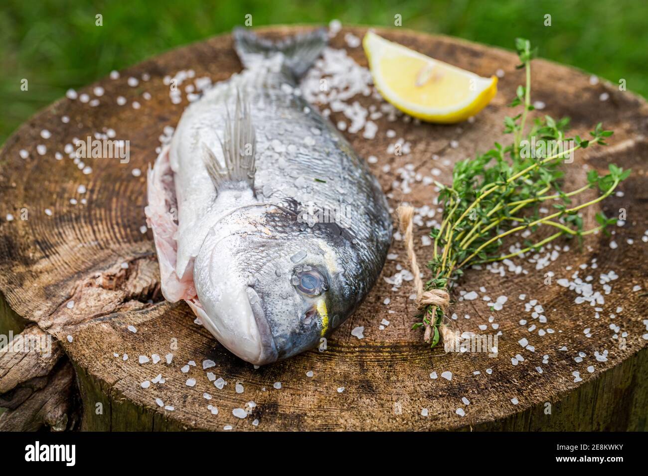 Raw sea bream with salt and lemon for grilling Stock Photo - Alamy