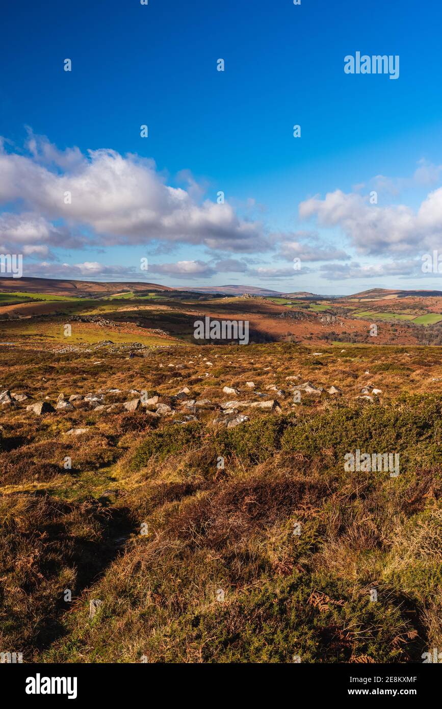 Haytor Rocks, Dartmoor Park, Devon, England, Europe Stock Photo - Alamy