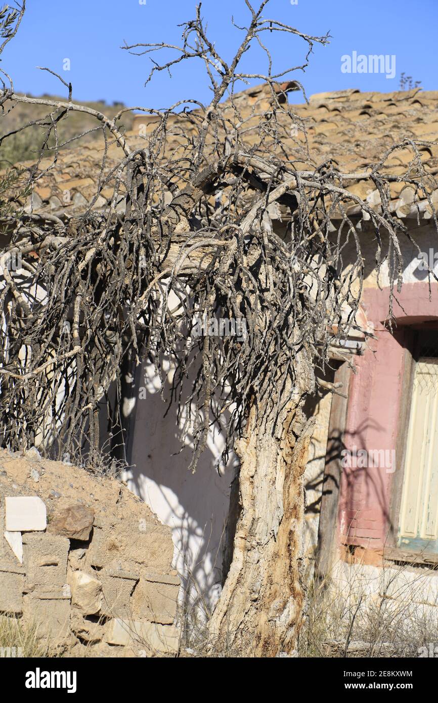Collapsed bridge over the almanzora river in Spain. Collapsed during ...