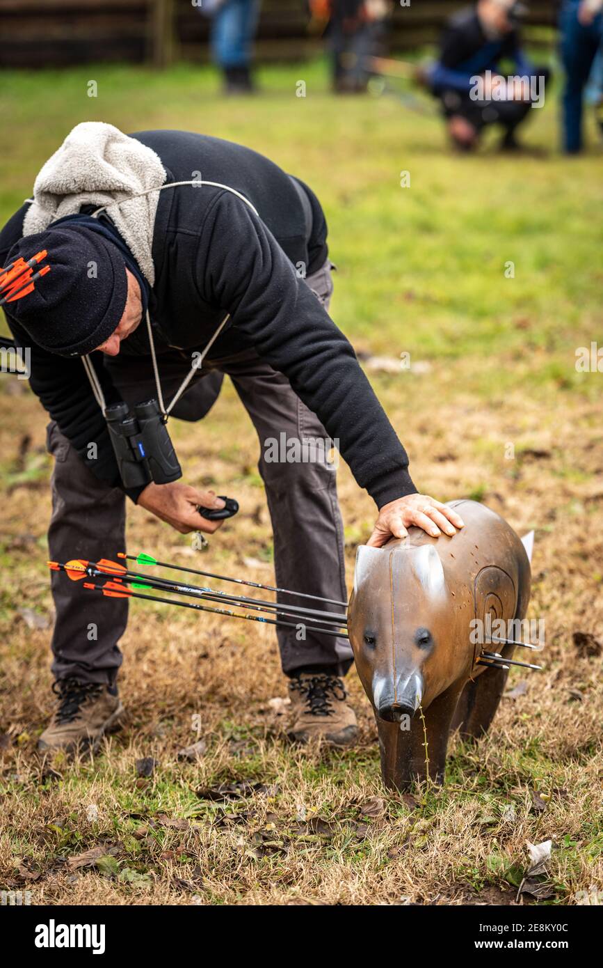 Target for archery and arrows, one fake boar animal. A male archer ...