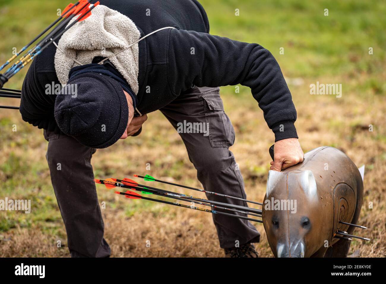 Target for archery and arrows, one fake boar animal. A male archer ...