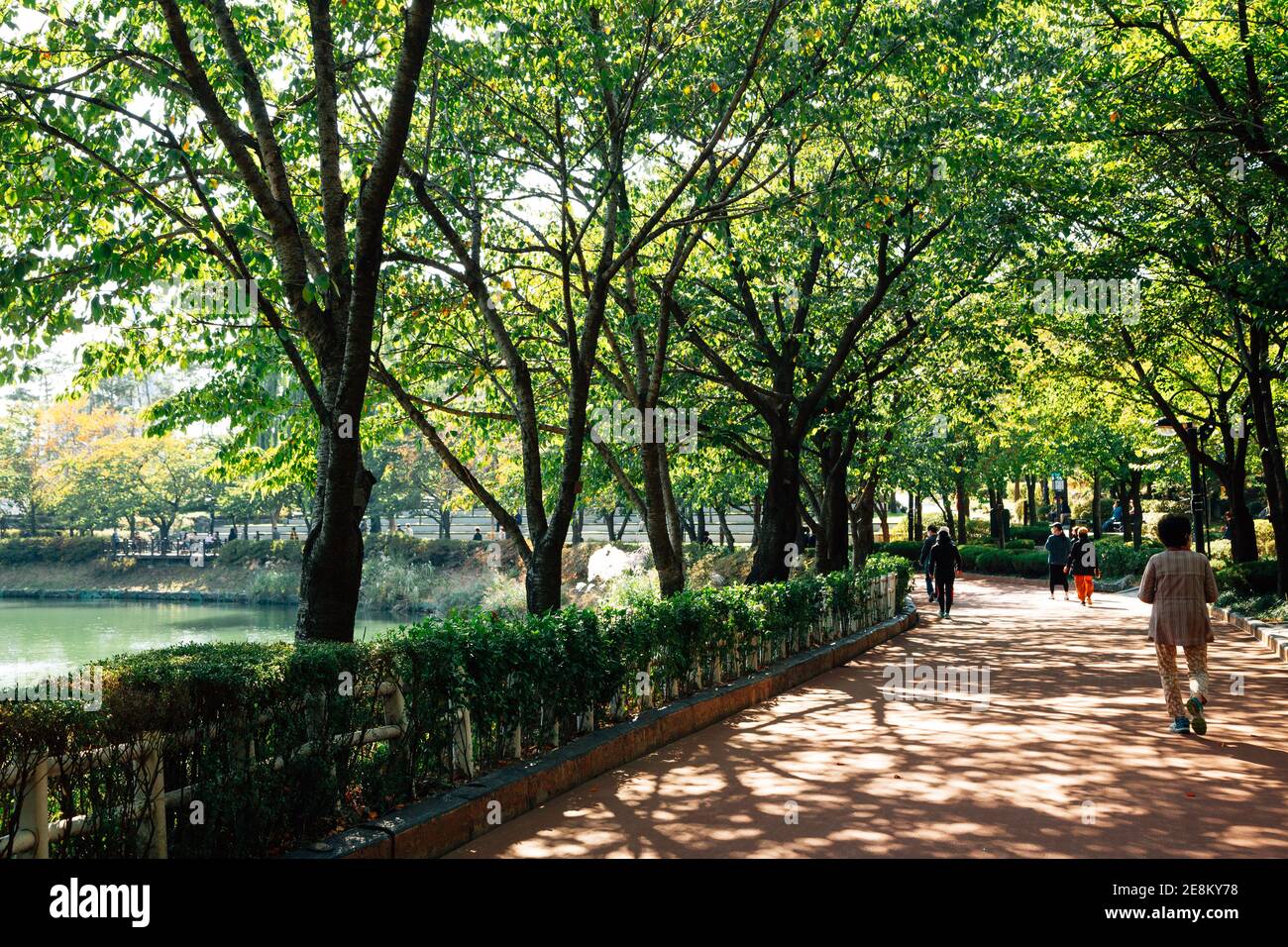 Seokchon lake green forest road in Seoul, Korea Stock Photo - Alamy