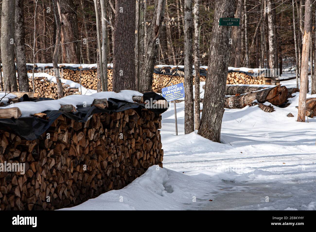 North Conway, New Hampshire, United States, 100 Acres Woods, Sugar ...