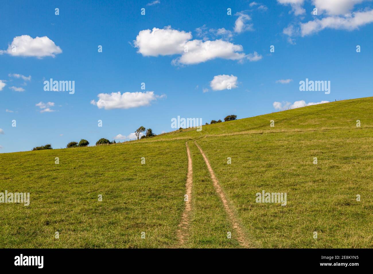 A pathway in the South Downs with a blue sky overhead Stock Photo - Alamy
