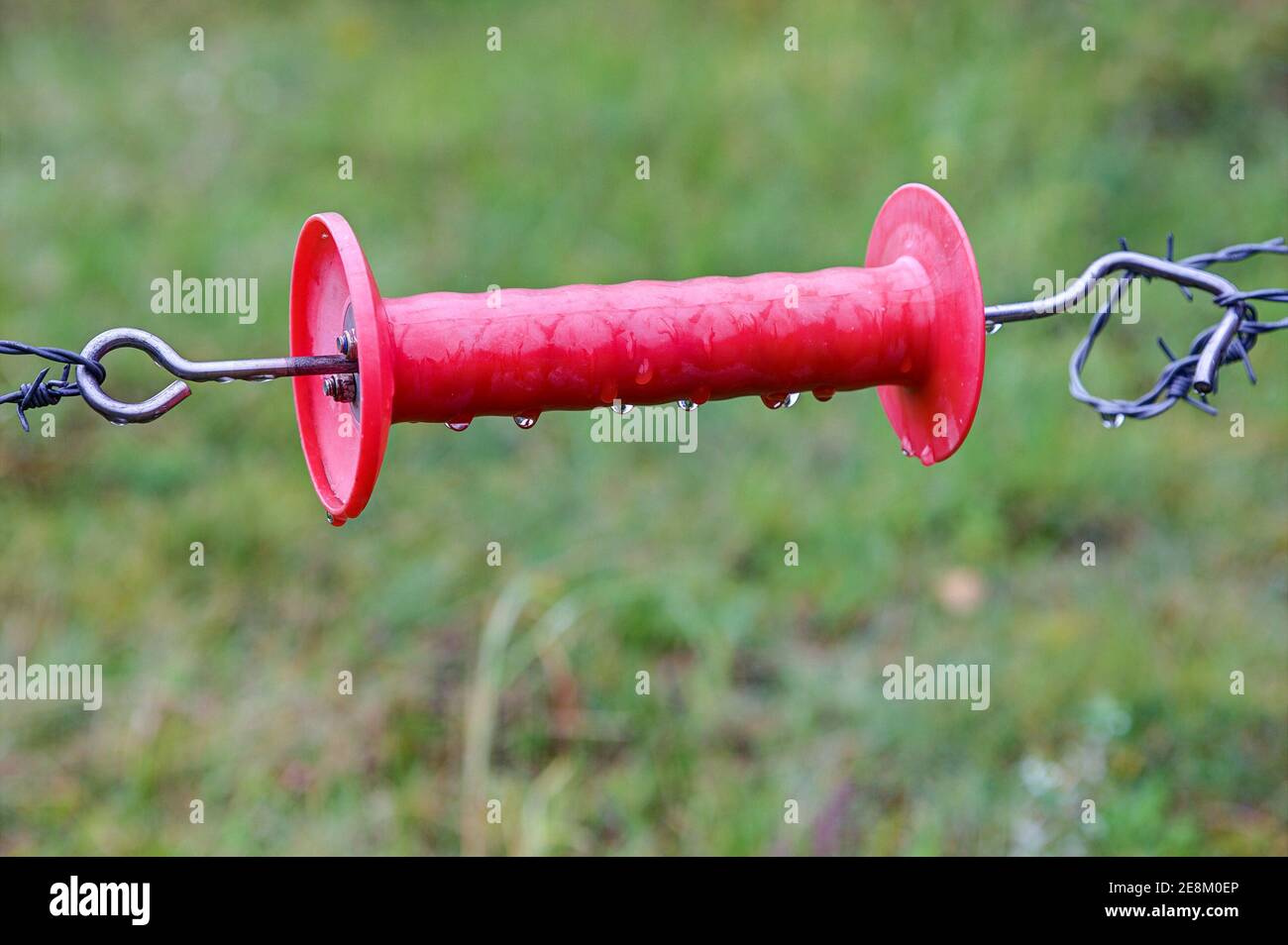 Bright red plastic handle with water droplets at an electric pasture ...
